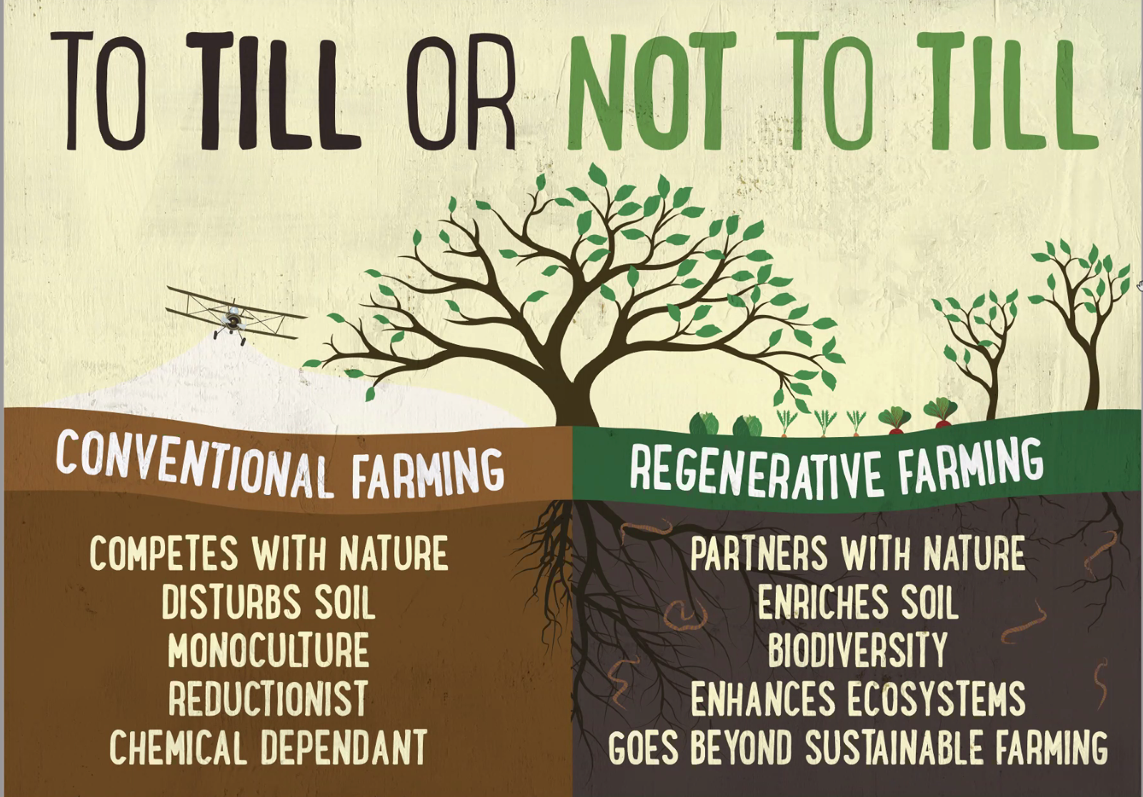 What is Regen Ag? – Harris Farm Markets