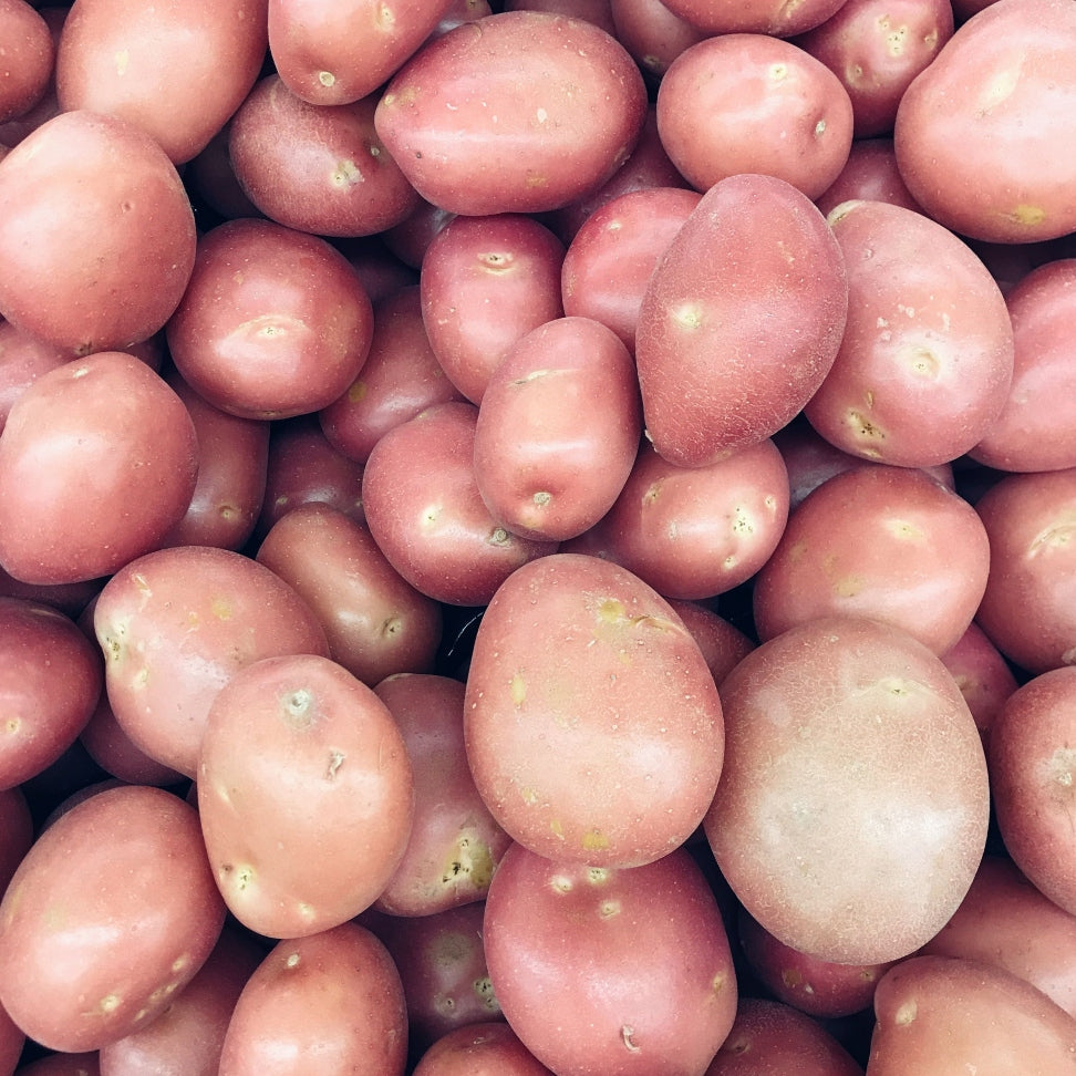 Pick of the Week - Red Washed Potato – Harris Farm Markets