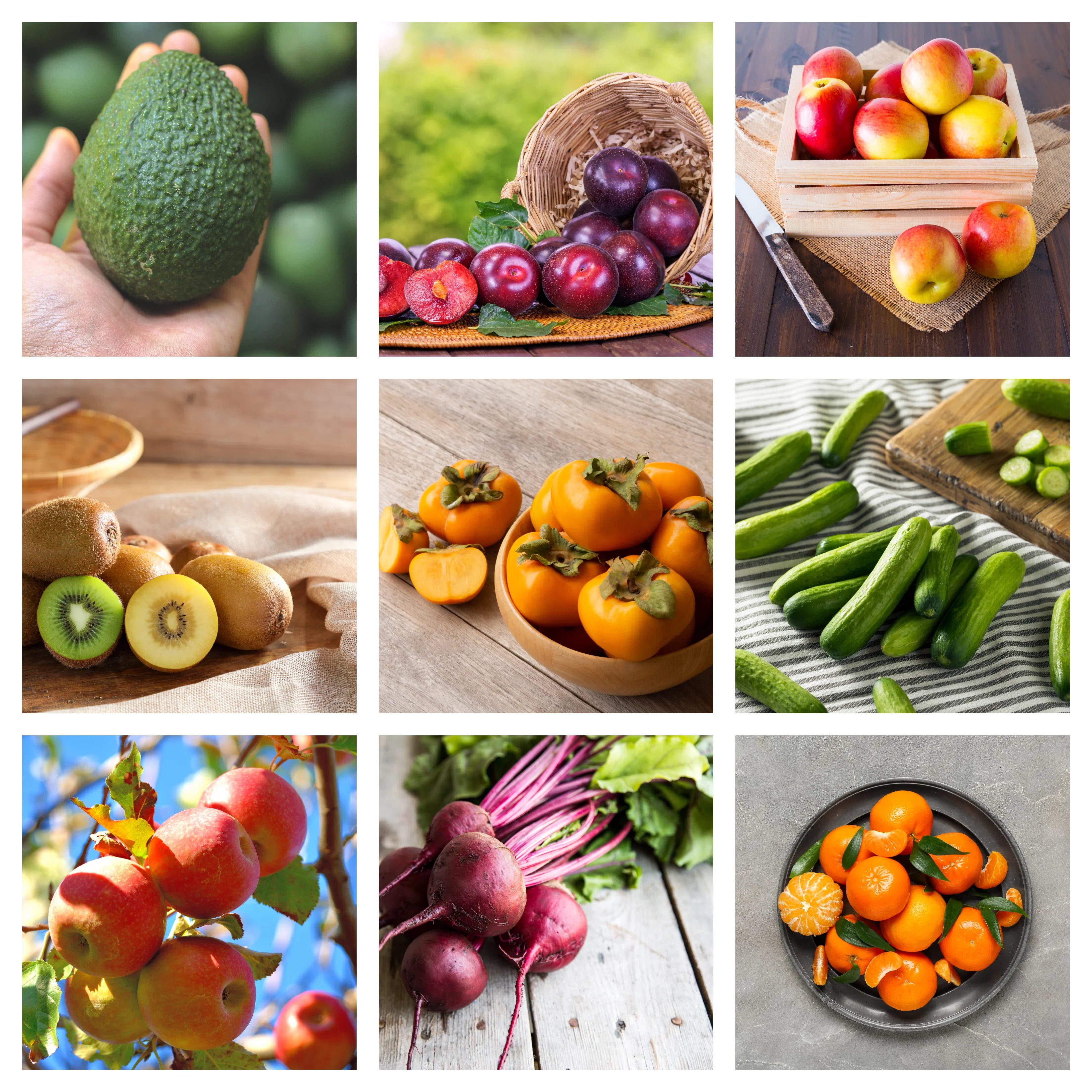 Dave's Market Update & Pick of the Week - Fuyu Fruit - 24 April 2024 ...