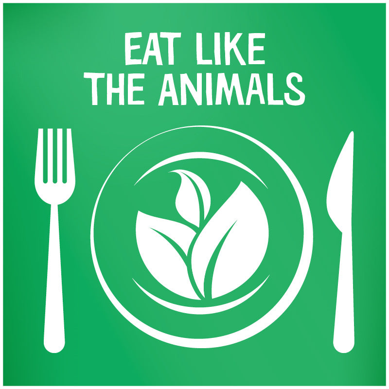 How to Eat Like The Animals, an excerpt – Harris Farm Markets