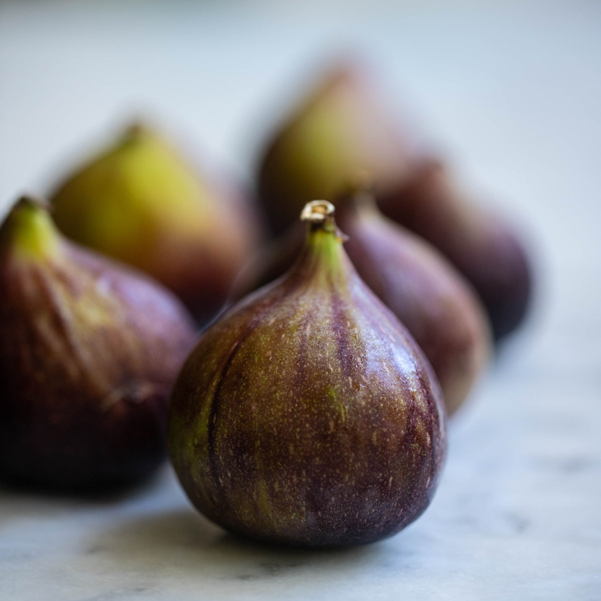 Pick of the Week QLD - Figs – Harris Farm Markets