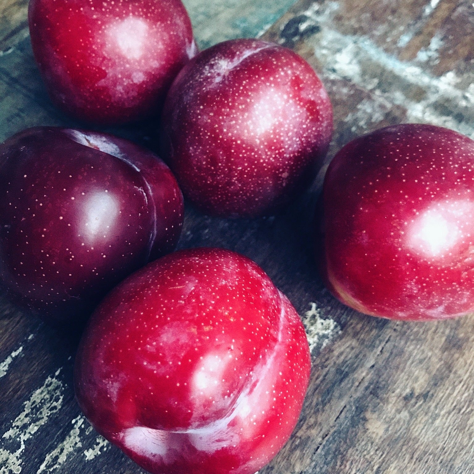 Dave's Pick of the Week - September Candy Plums – Harris Farm Markets