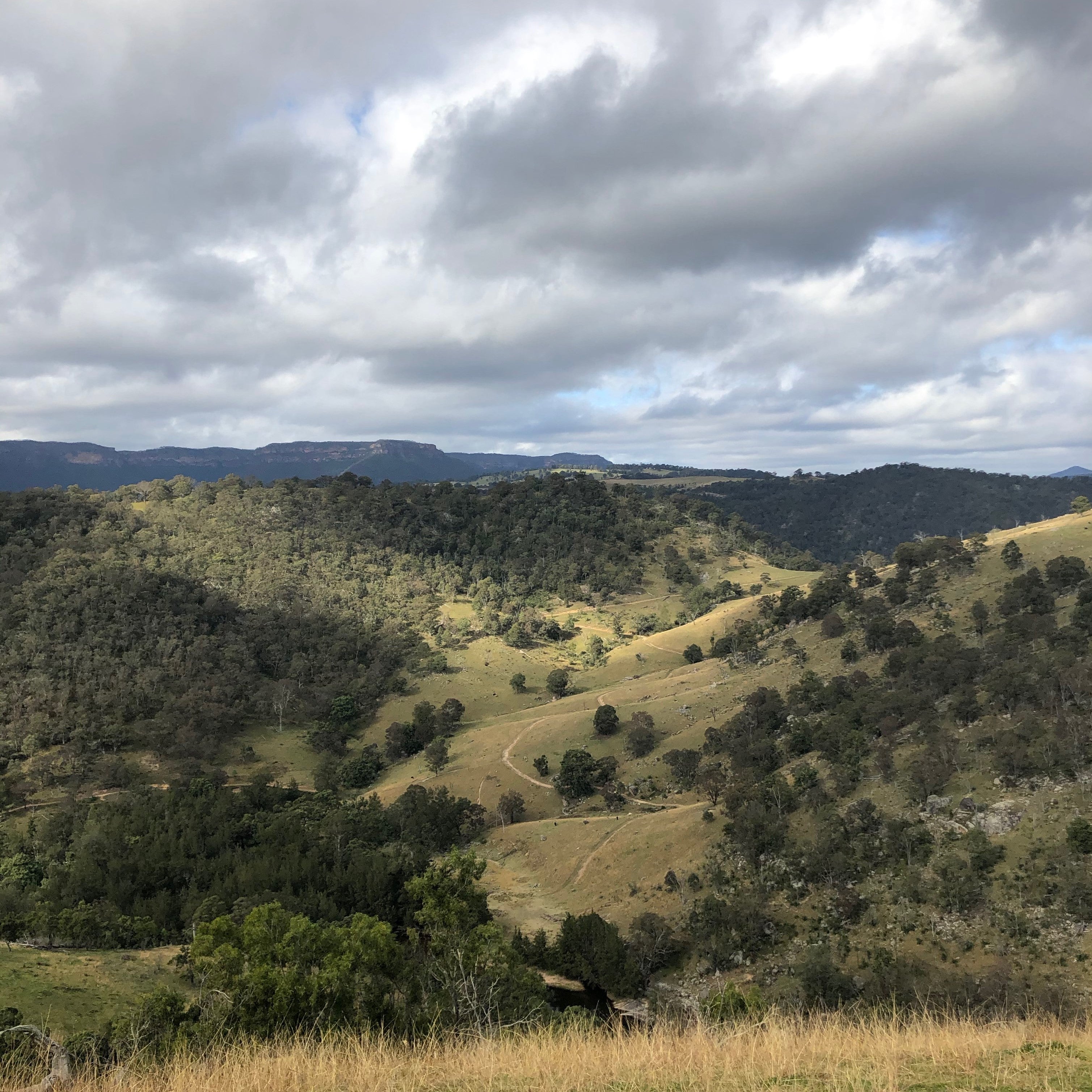 The Harris Family Farm Regen Journey – Harris Farm Markets