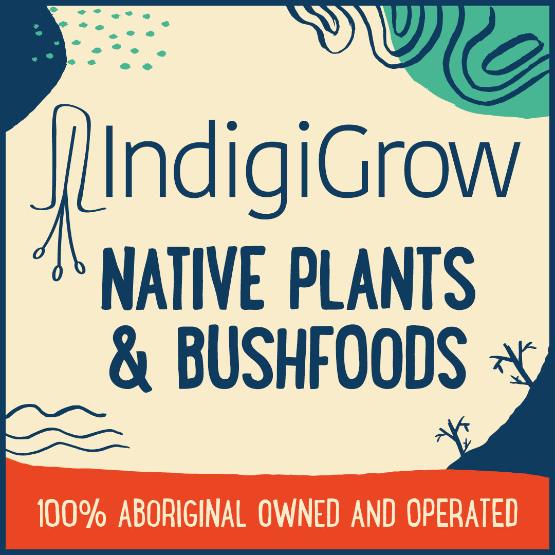 IndigiGrow | 100% Aboriginal Owned and Operated | Native Bushfoods ...