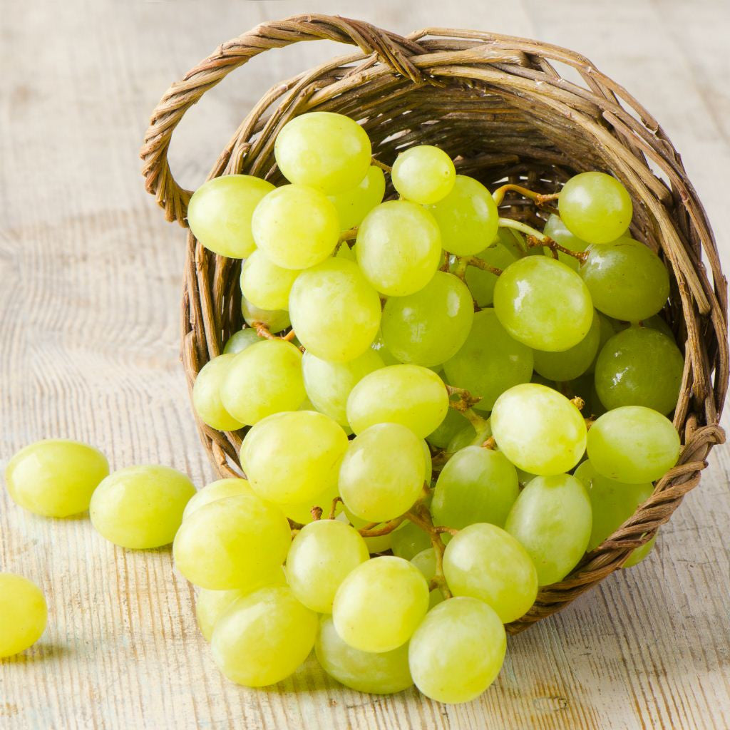 Pick of the Week - Menindee White Seedless Grapes – Harris Farm Markets