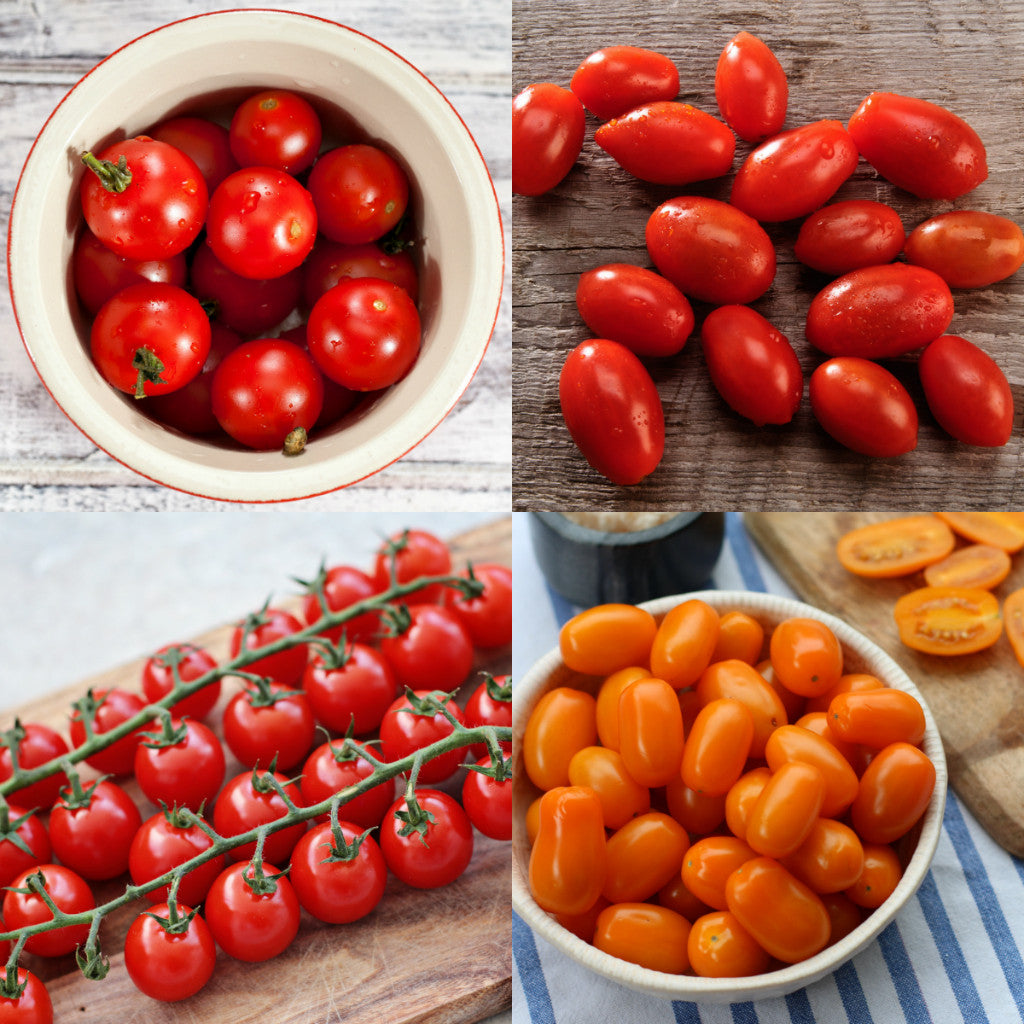 Pick of the Week - Snacking Tomatoes | Harris Farm Markets