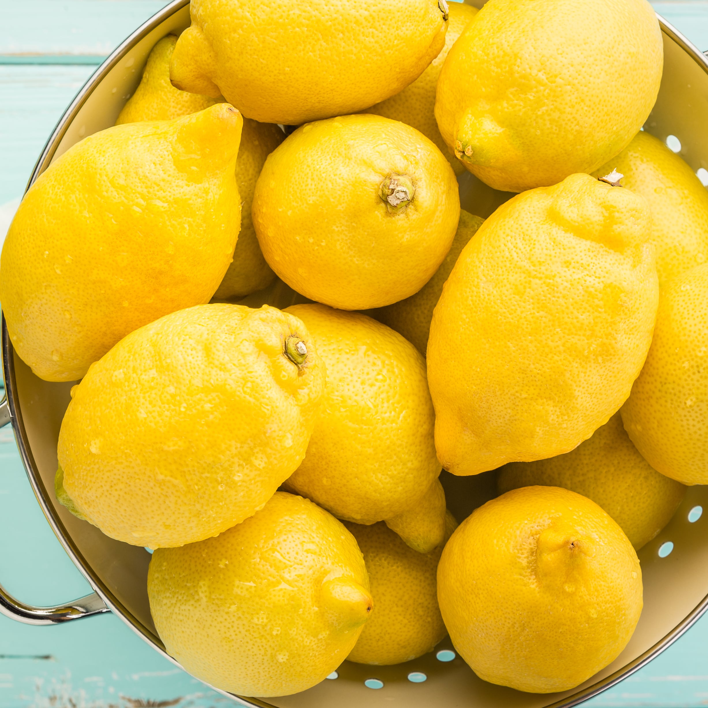 Pick of the Week - Lemons – Harris Farm Markets
