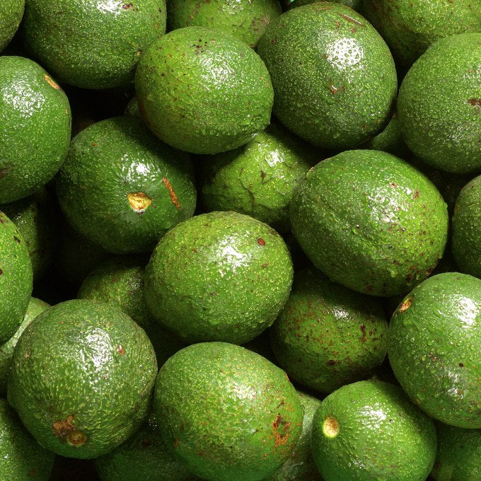 Pick of the Week - Reed Avocados – Harris Farm Markets