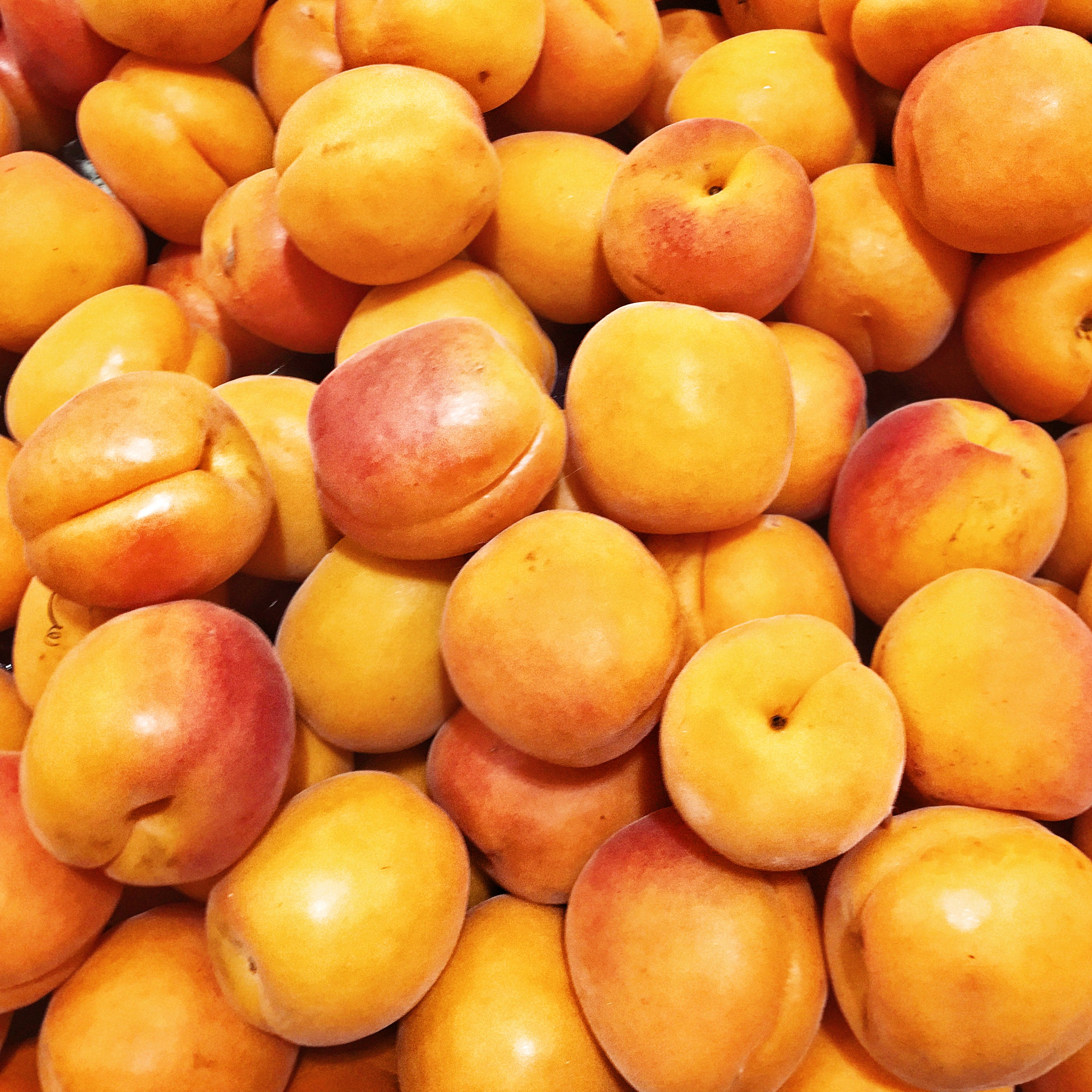 Pick of the Week - Apricots | Harris Farm Markets