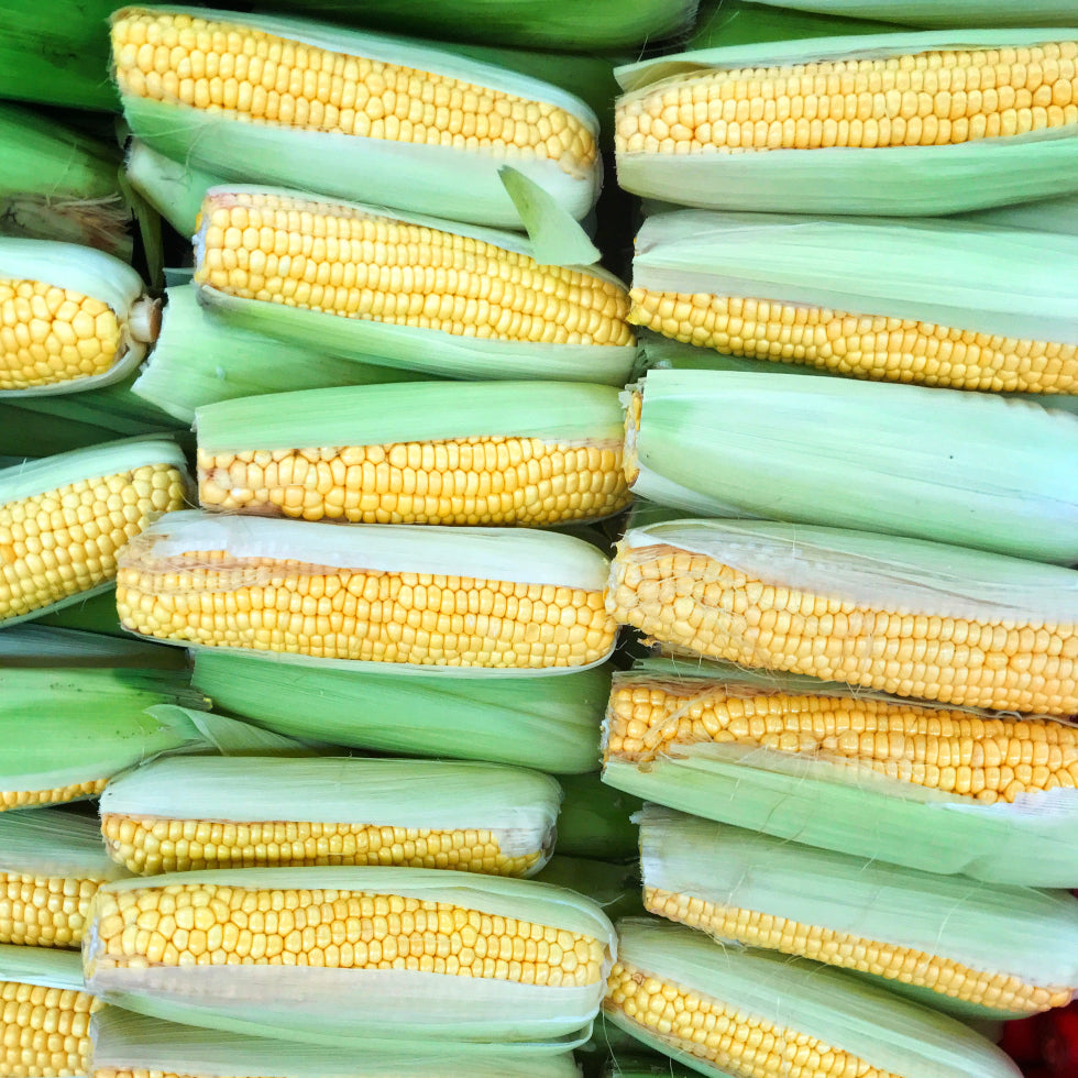 Pick of the Week - Loose Corn | Harris Farm Markets