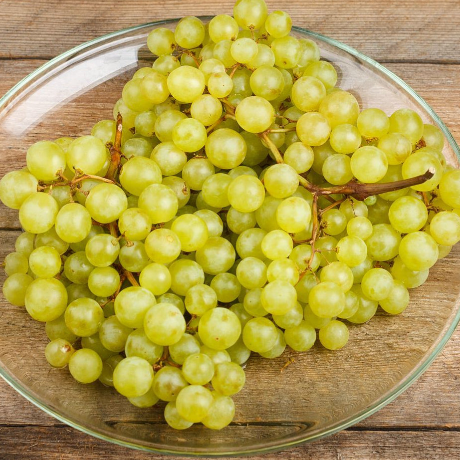 Pick of the Week - Natural Sultana Grapes | Harris Farm Markets