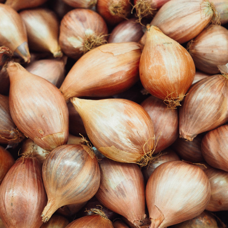 Pick of the Week: French Eschallots | Harris Farm Markets