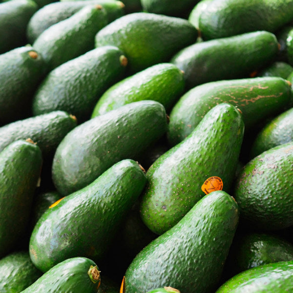 Pick of the Week: New Season Shepard Avocados | Harris Farm Markets