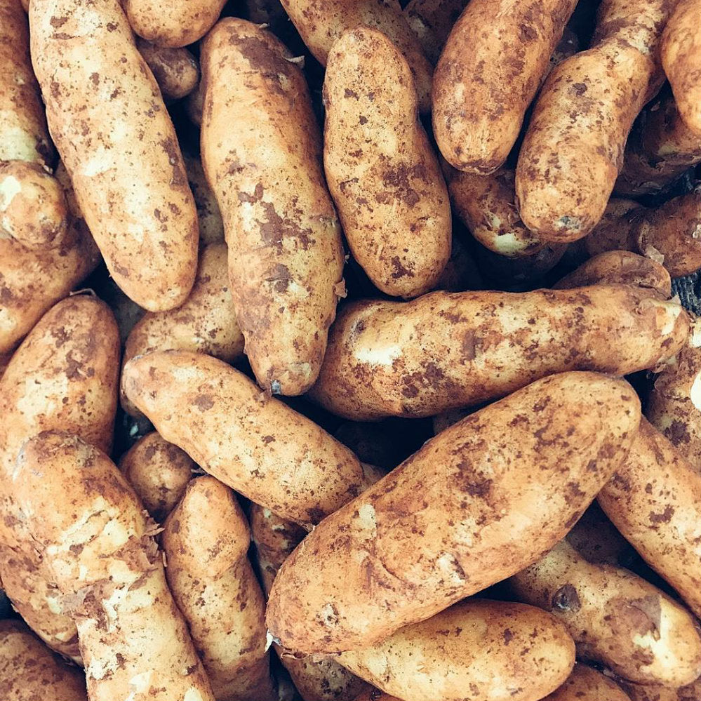 Pick of the Week – Kipfler Potatoes | Harris Farm Markets