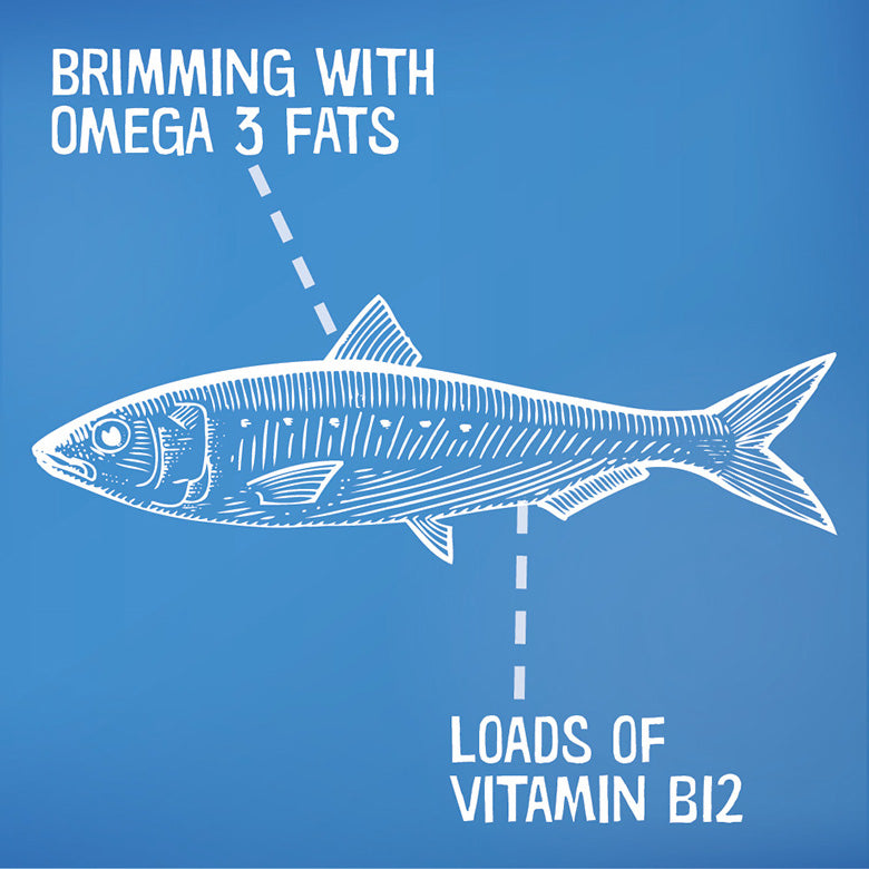 SARDINES – Harris Farm Markets