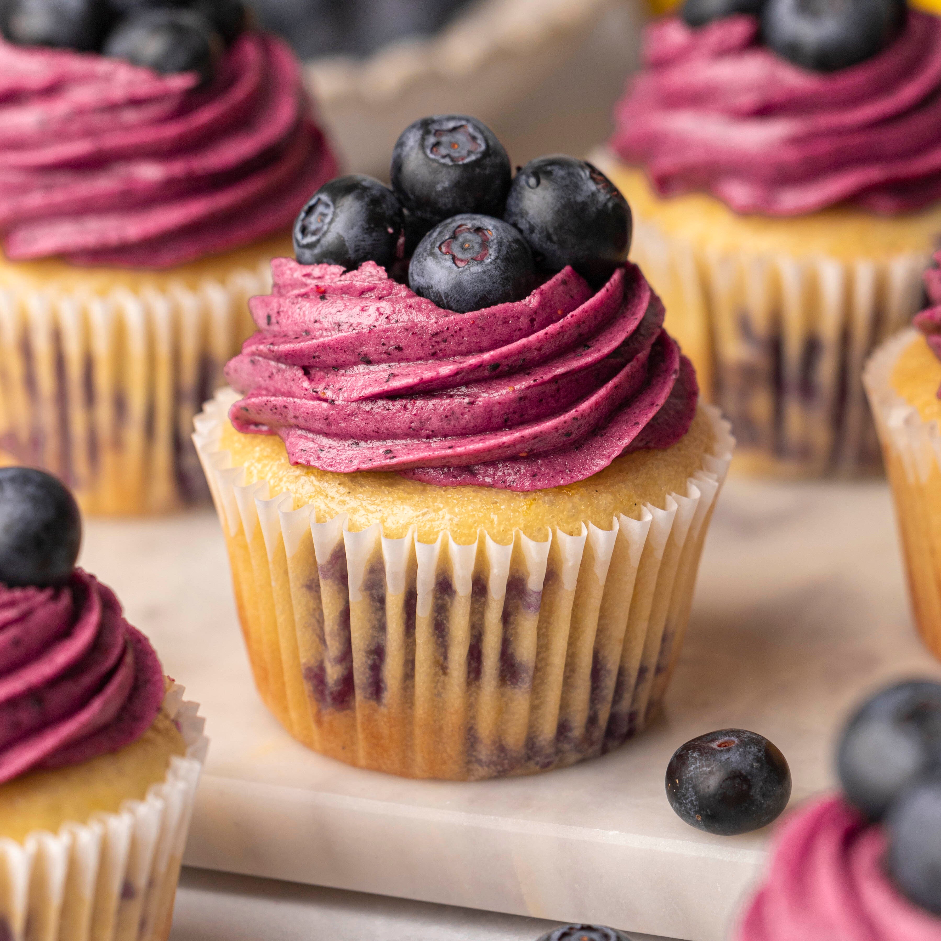 Blueberry Lemon Olive Oil Cupcakes – Harris Farm Markets