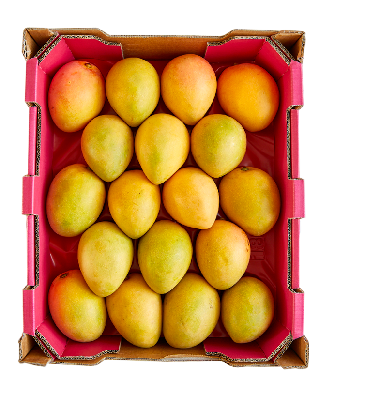 Kensington Pride Mango Tray – Harris Farm Markets