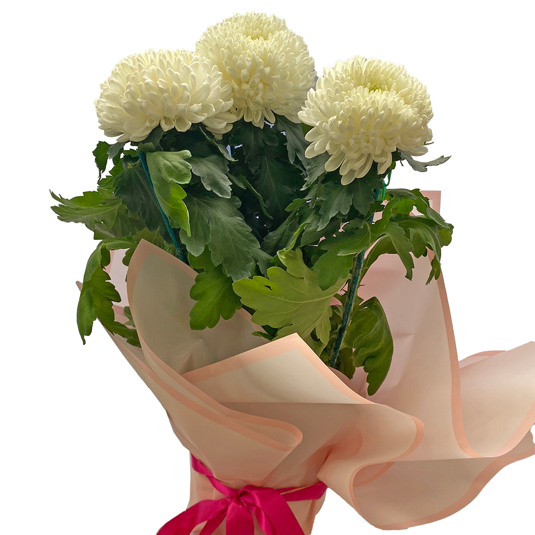 Flowers – Harris Farm Markets