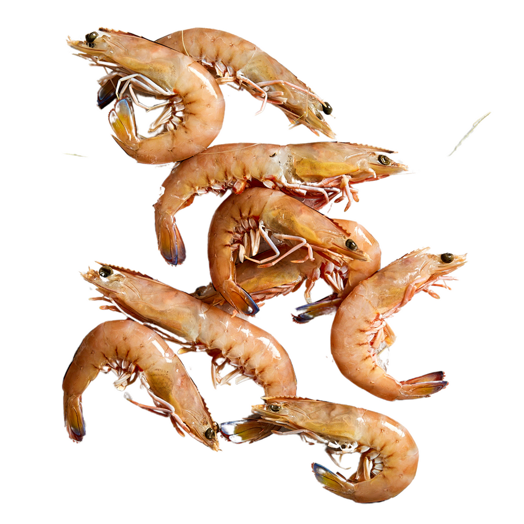 Buy Fresh Prawns Online | King Prawns & More | Harris Farm – Harris ...