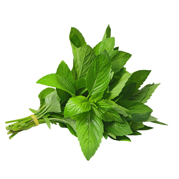 Fresh Vietnamese Mint Punnet | Harris Farm Markets