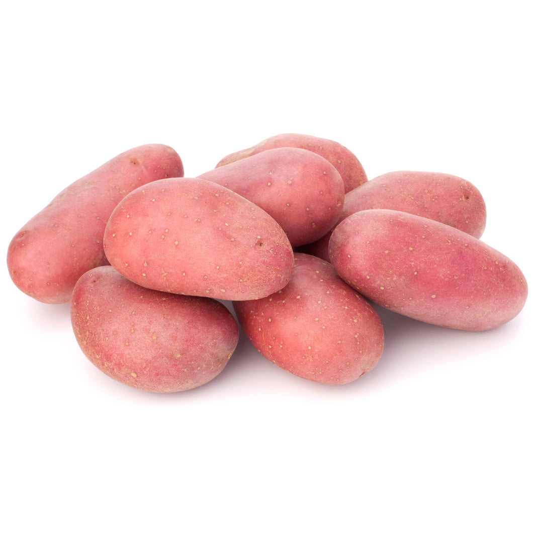 Bonomi Lady Fingers Savoiardi 400g | Harris Farm – Harris Farm Markets