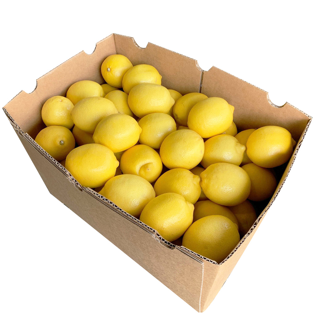 Lemon Box 15kg | Harris Farm Markets