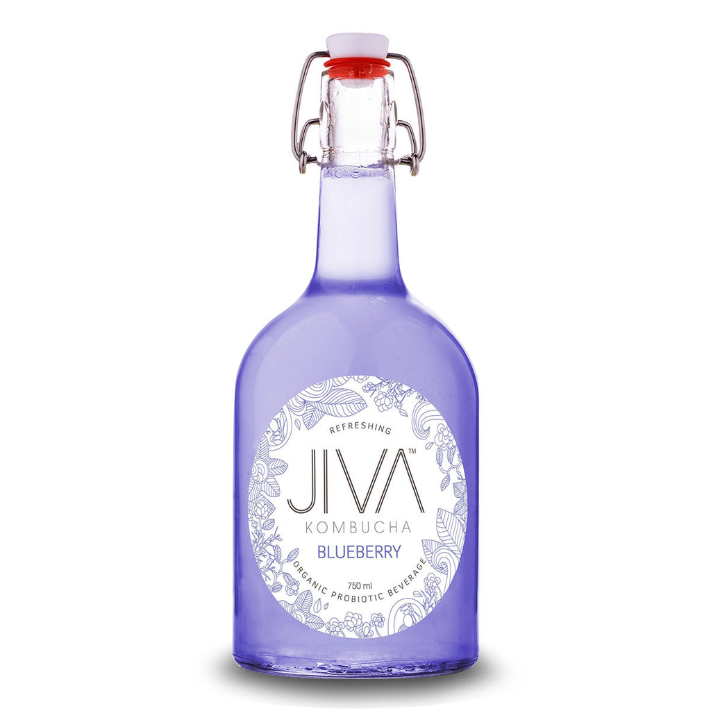 Jiva Kombucha Blueberry 750ml | Harris Farm Markets