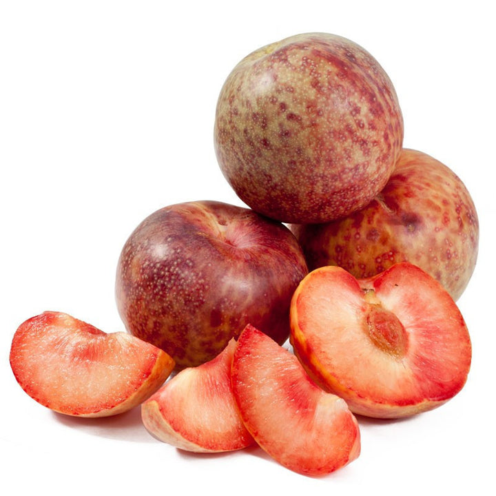 Rose Panna Cotta with Roasted Plums | Plum Recipes | Harris Farm ...
